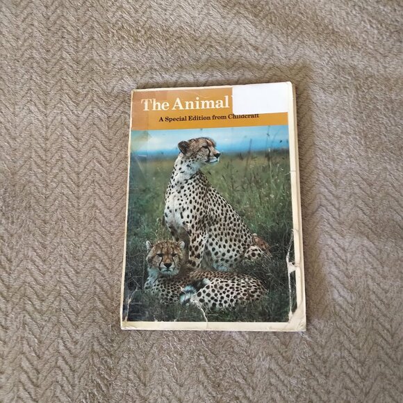Other | The Animal World Book A Special Edition From Childcraft | Poshmark